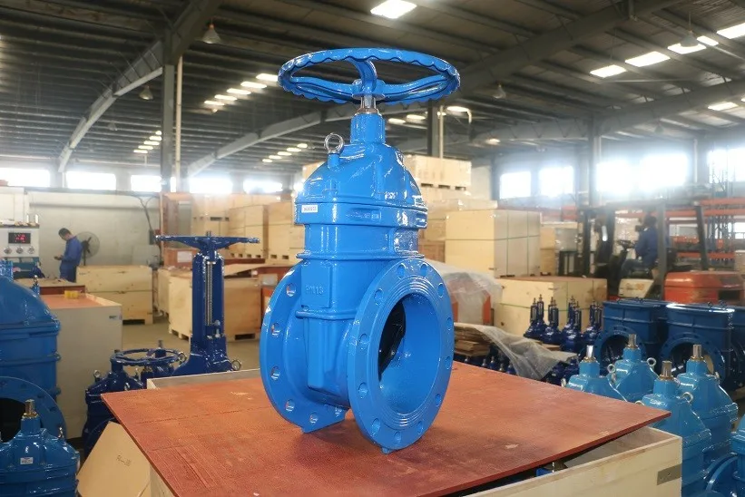 Gate Valve BB OS&Y REP CL150 RF ASTM A182 F304 Trim B62 API 602