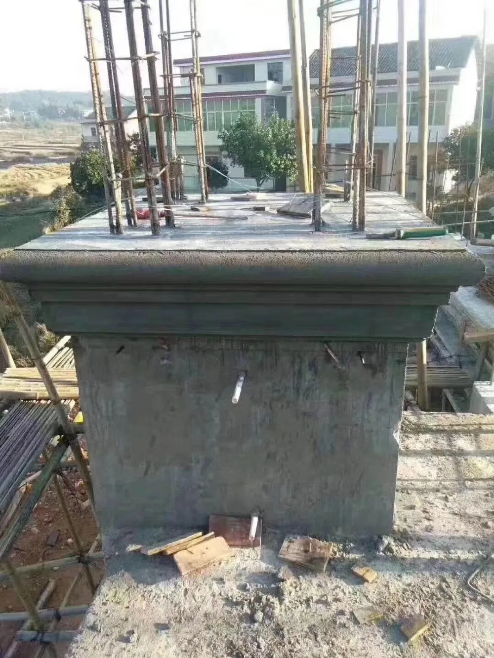 Plastic Column Capital Molds for Concrete Planters & Insulated Formwork ODM