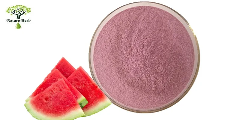 High Quality Watermelon Rind Extract Powder - Buy Watermelon Rind ...