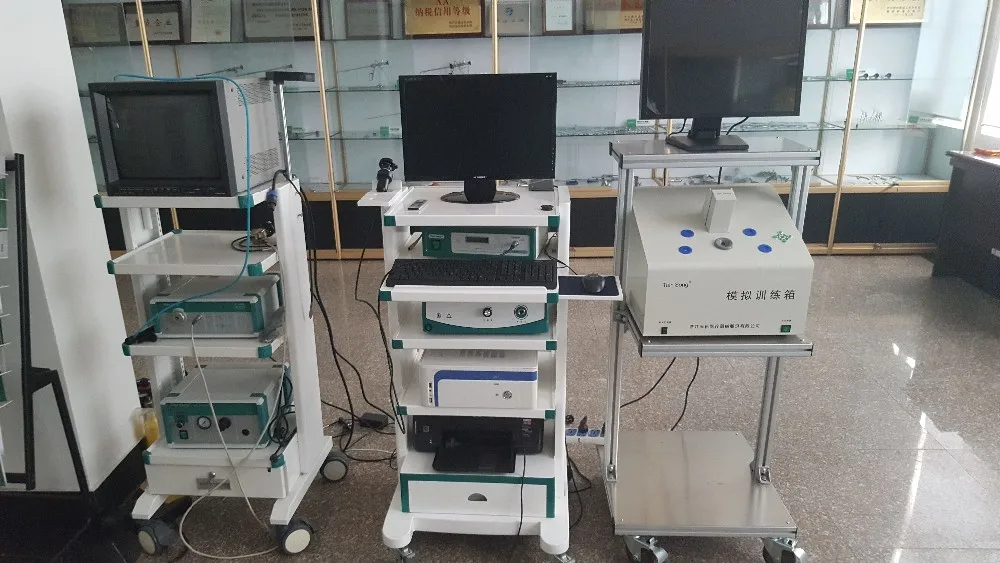 Urology Basic Surgical Instrument Set / Surgical Ureterorenoscopy Set ...