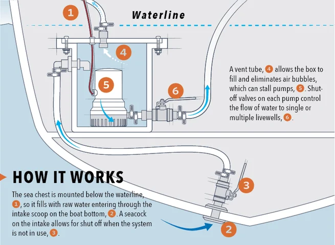 Stainless Steel 316 Marine Water Boat Hardware Thru-hull Intake Scoop ...