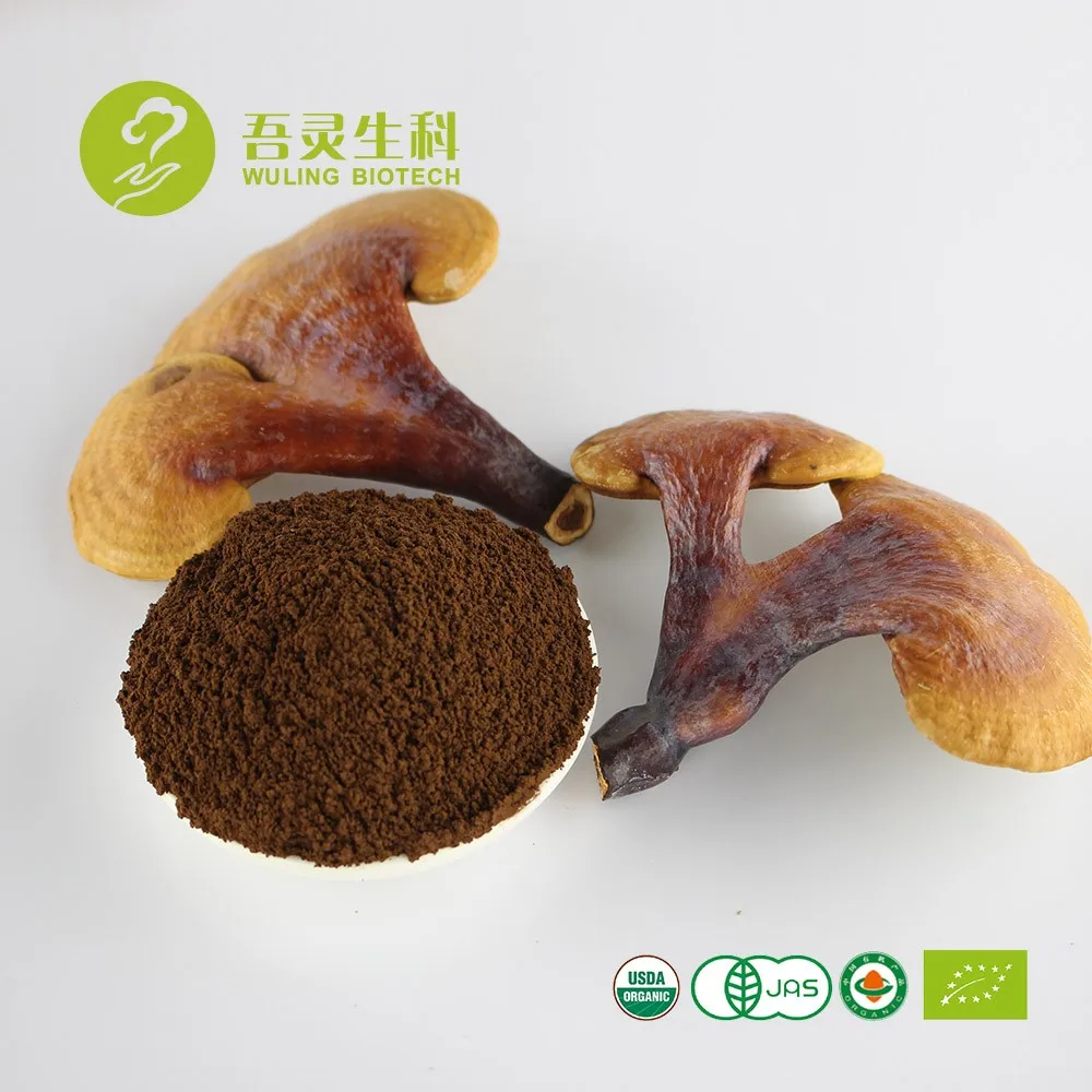 Juncao Ganoderma Lucidum Extract Powder Herbal Extract Reishi Extract ...