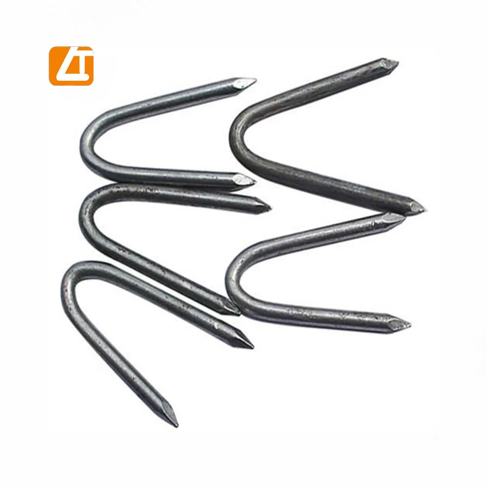 Fence Staple Galvanized U Type Nail - Buy Galvanized U Type Nails,U ...