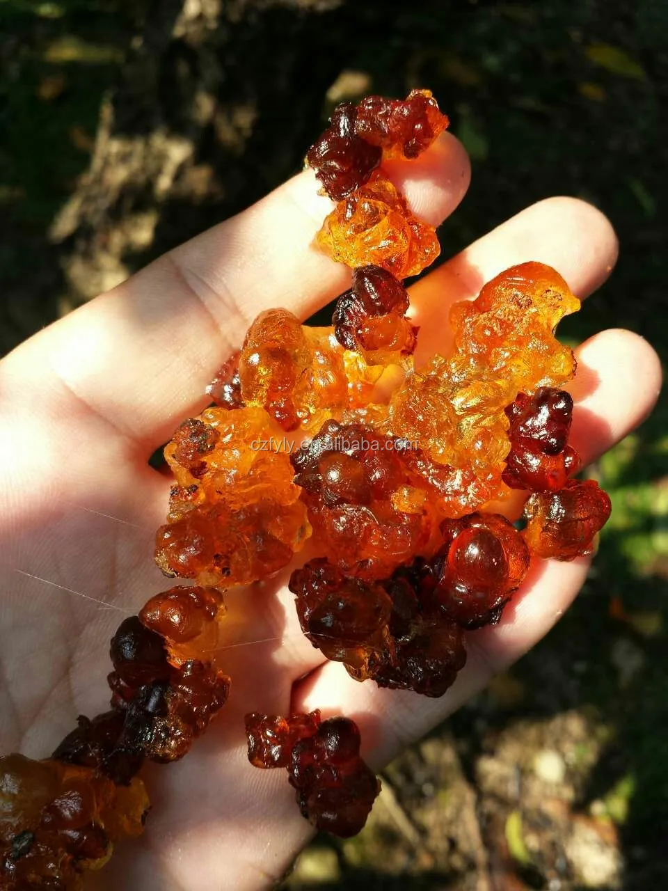 100% Pure Natural Peach Gum China - Buy Natural Peach Gums,China Peach ...