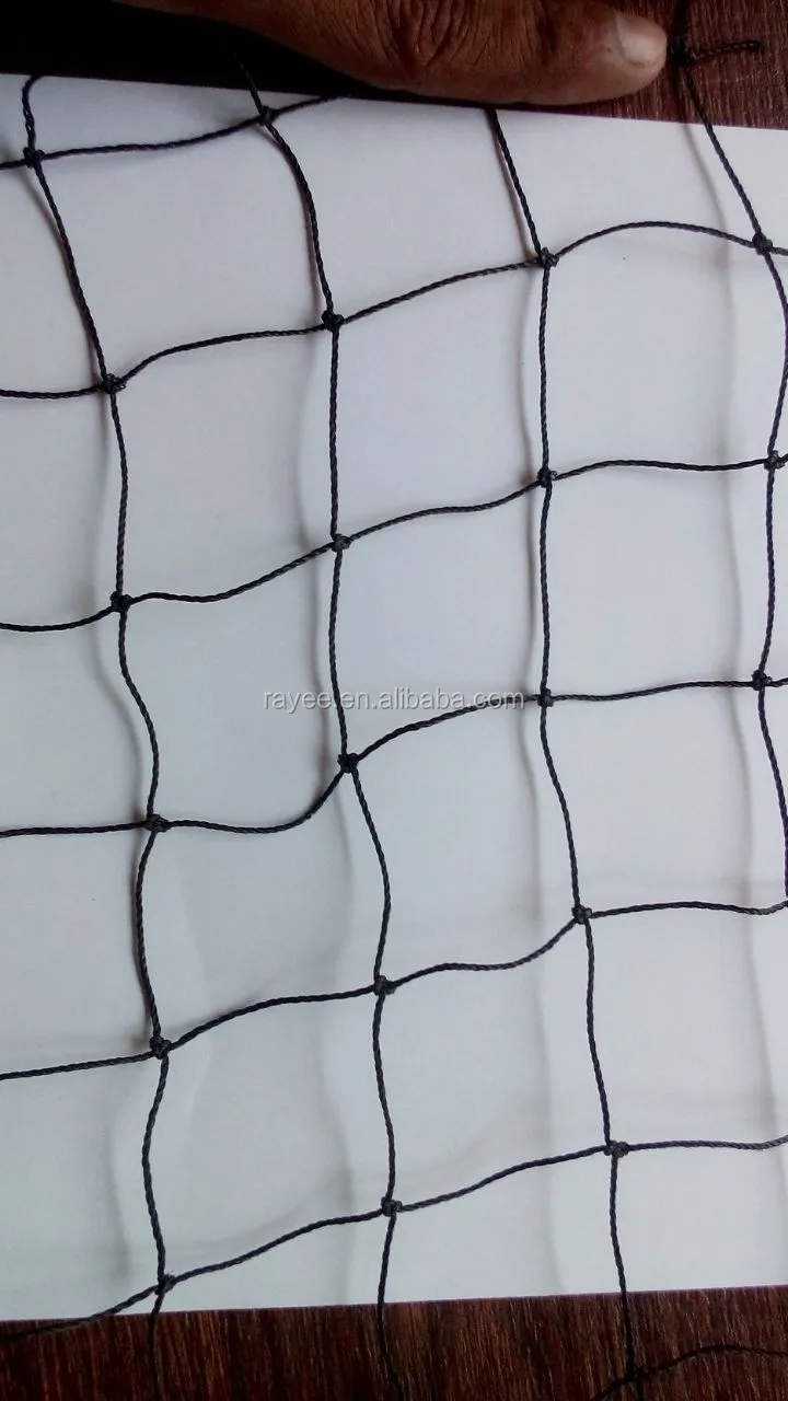 High Quality Birds Nets For Catching Canary Birds - Buy Bird Net For ...