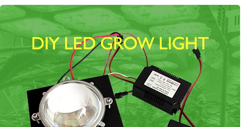 Shenzhen Sungrow LED Technology Co., Ltd. - LED Therapy Light,LED Grow ...