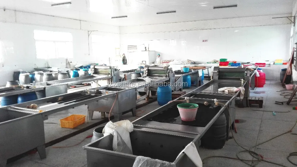 Pork Intestine Sausage Casing Cleaning Machine - Buy Casing Cleaning ...