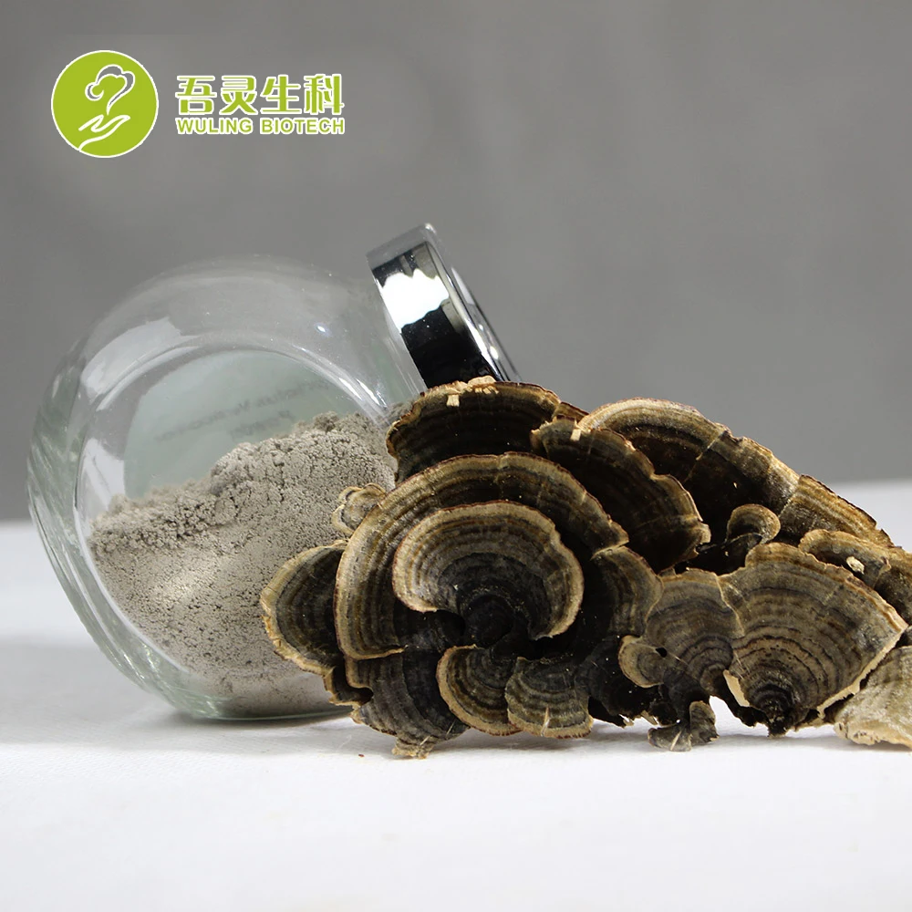 Coriolus Versicolor Powder-wuling