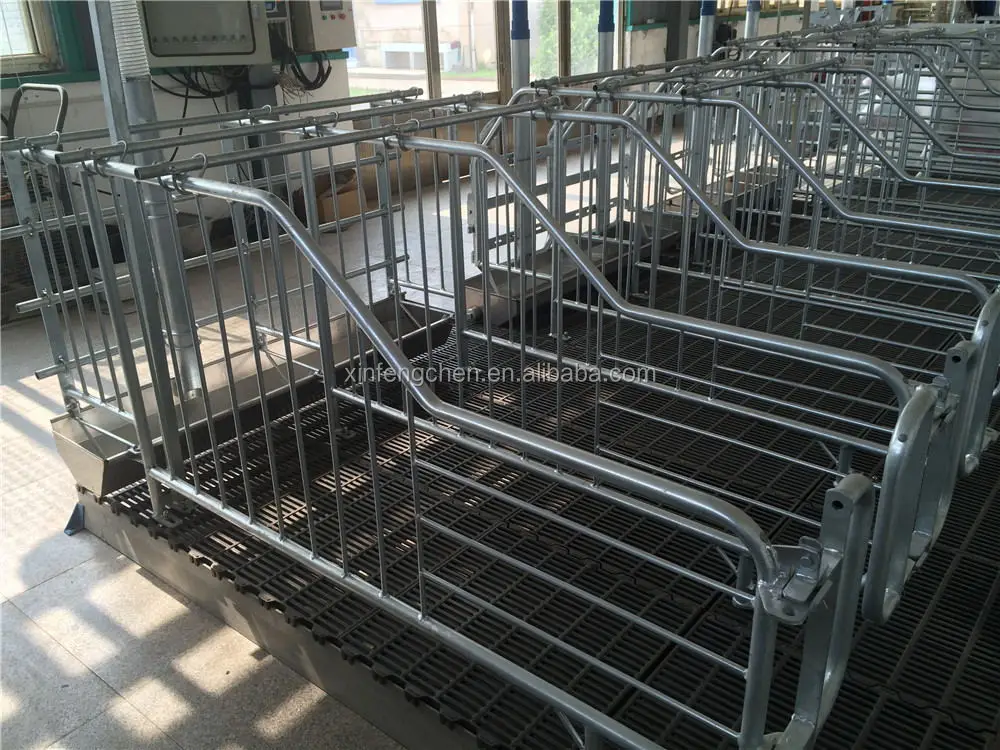 New Product Pig Farm Cage - Buy Pig Farm Cage,Clay Bird Cage,Pig Farm ...