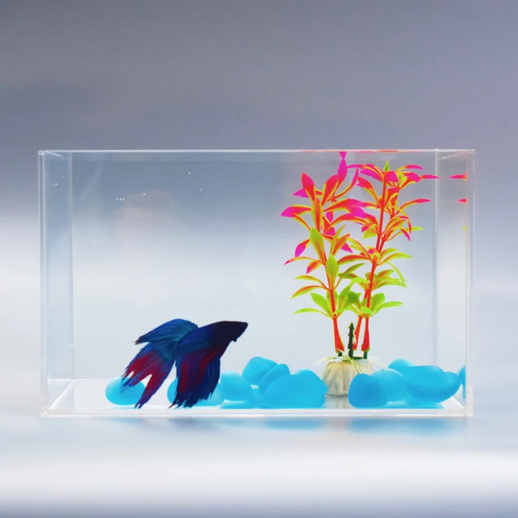 Custom Table Plexi Glass Aquarium Fish Tank - Small Size
