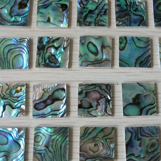 Good Quality Raw Material Paua Abalone Shell Mexico For Sale - Buy ...