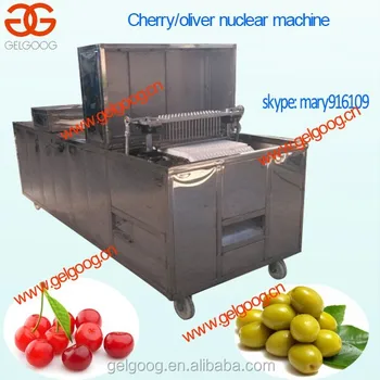 Olive Stone Remover|olive Kernel Extractor|olive Seeds Removing Machine ...