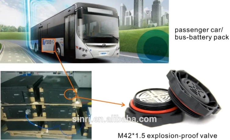 SINRI Waterproof Anti-Explosion Valve for Automotive Batteries