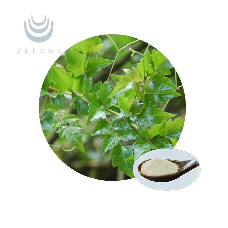 Natural Vine Tea Extract Dihydromyricetin 98% Powder For Anti-hangover ...