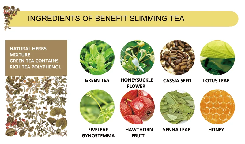 Herbal Tea Lose Weight Made From Herb And Green Tea Mixture Weight Loss ...