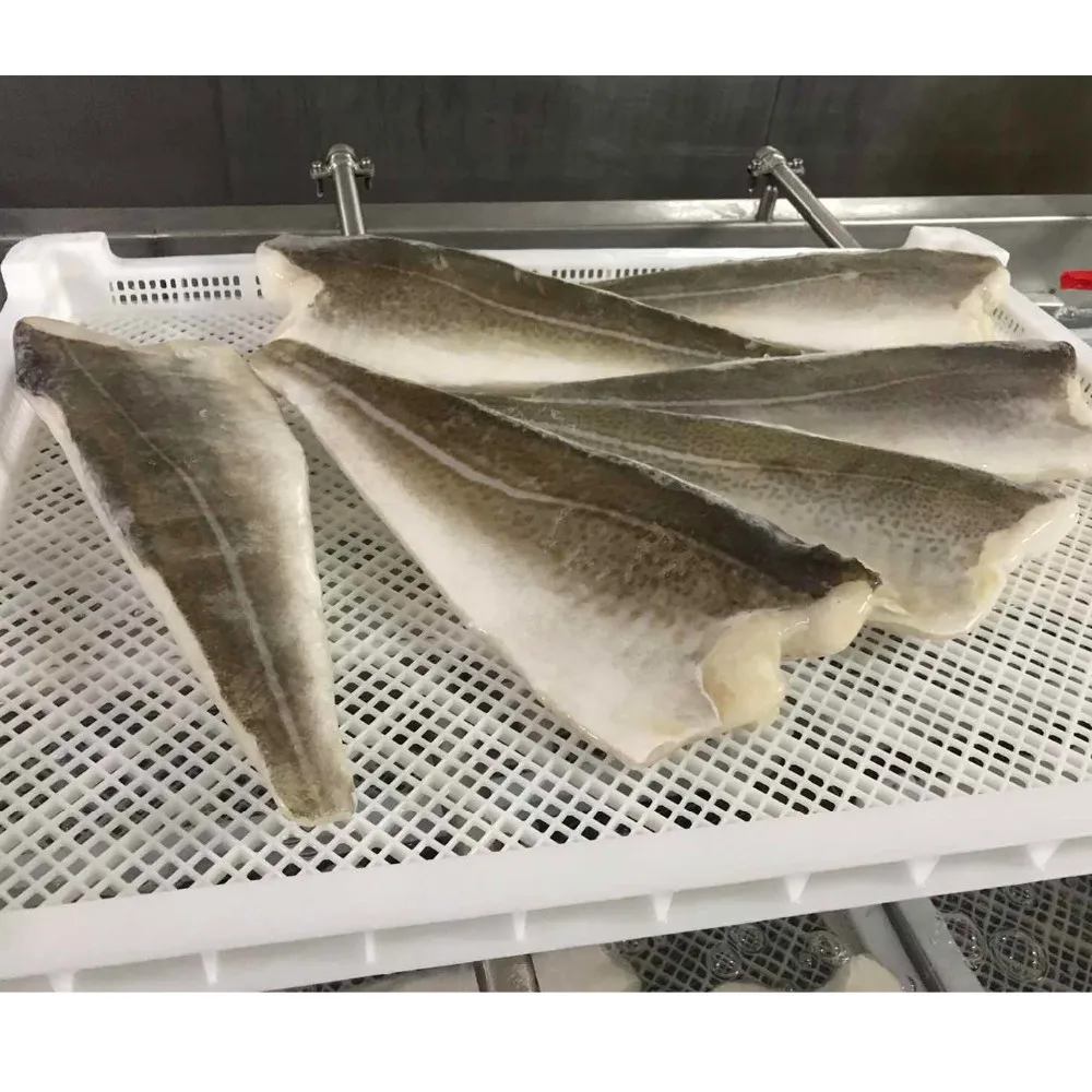 New Season Hot Sale Atlantic Cod Fillet Frozen - Buy Frozen Gadus ...