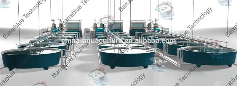 Ras/recirculation Aquaculture System Layout Design/fish Farm Design ...