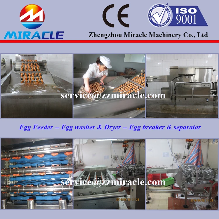 Safely Chicken Farm Egg White Separator Machine After Clean