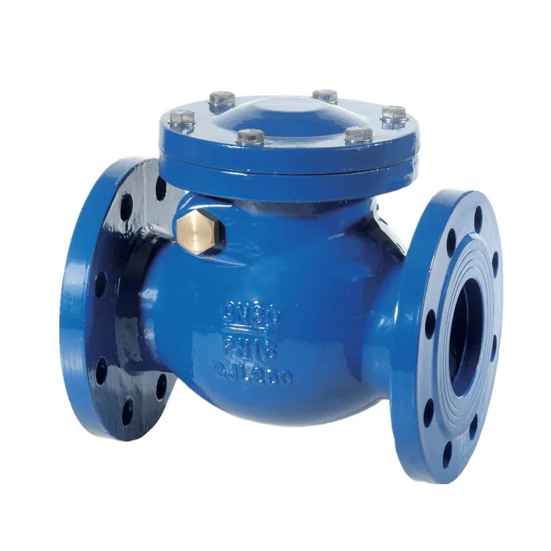 Ansi 6 Inch PN16 Flange Type Cast Steel Swing Check Valve