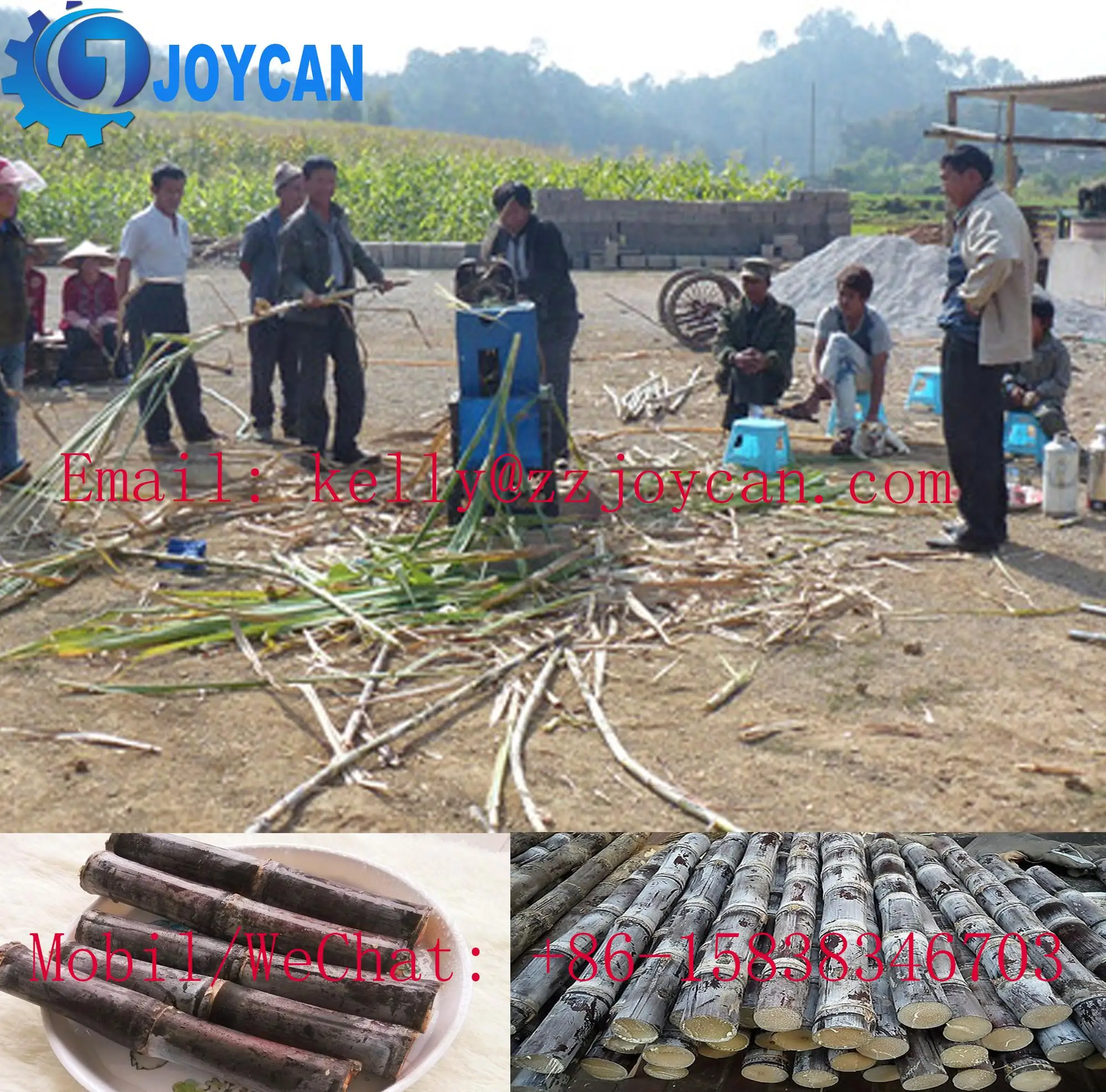 Sugarcane Leaf Peeler Machine Fresh Sugarcane Leaf Remover Stripping ...