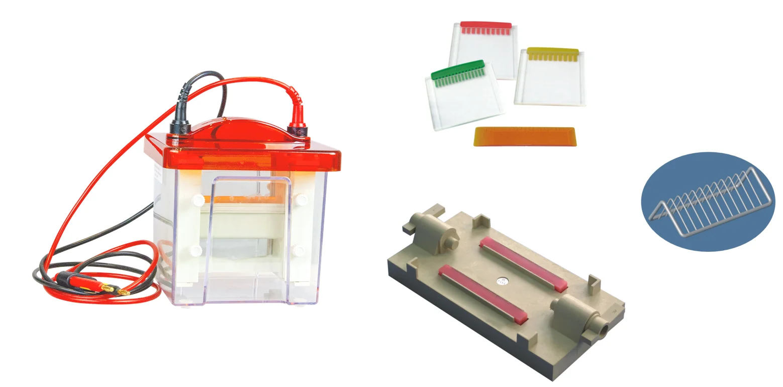 MINI Vertical Gel Electrophoresis Tank - Efficient & Reliable