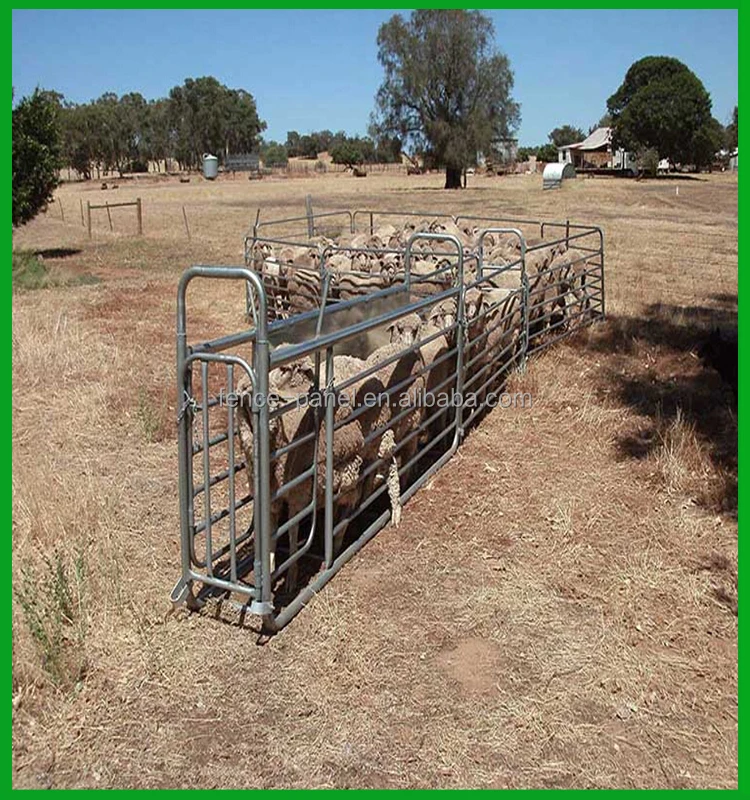 Steel Cattle Crush Sheep Crush Horse Crush - Buy Cattle Crushes,Power ...