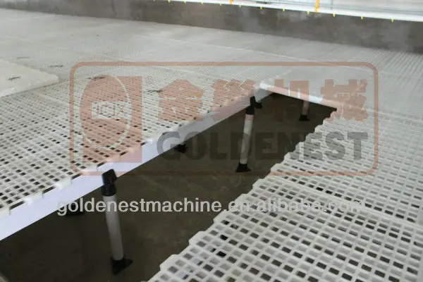 High Quality Plastic Slats for Chicken Farming - GOLDENEST