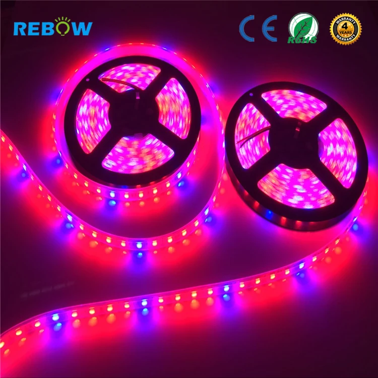 Smd5050 Grow Led Strip Light 60led/m 4red 1blue 5m/set Flowering Grow ...