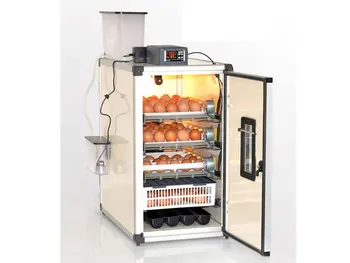 Small Egg Incubator - Buy Egg Incubator Product on Alibaba.com