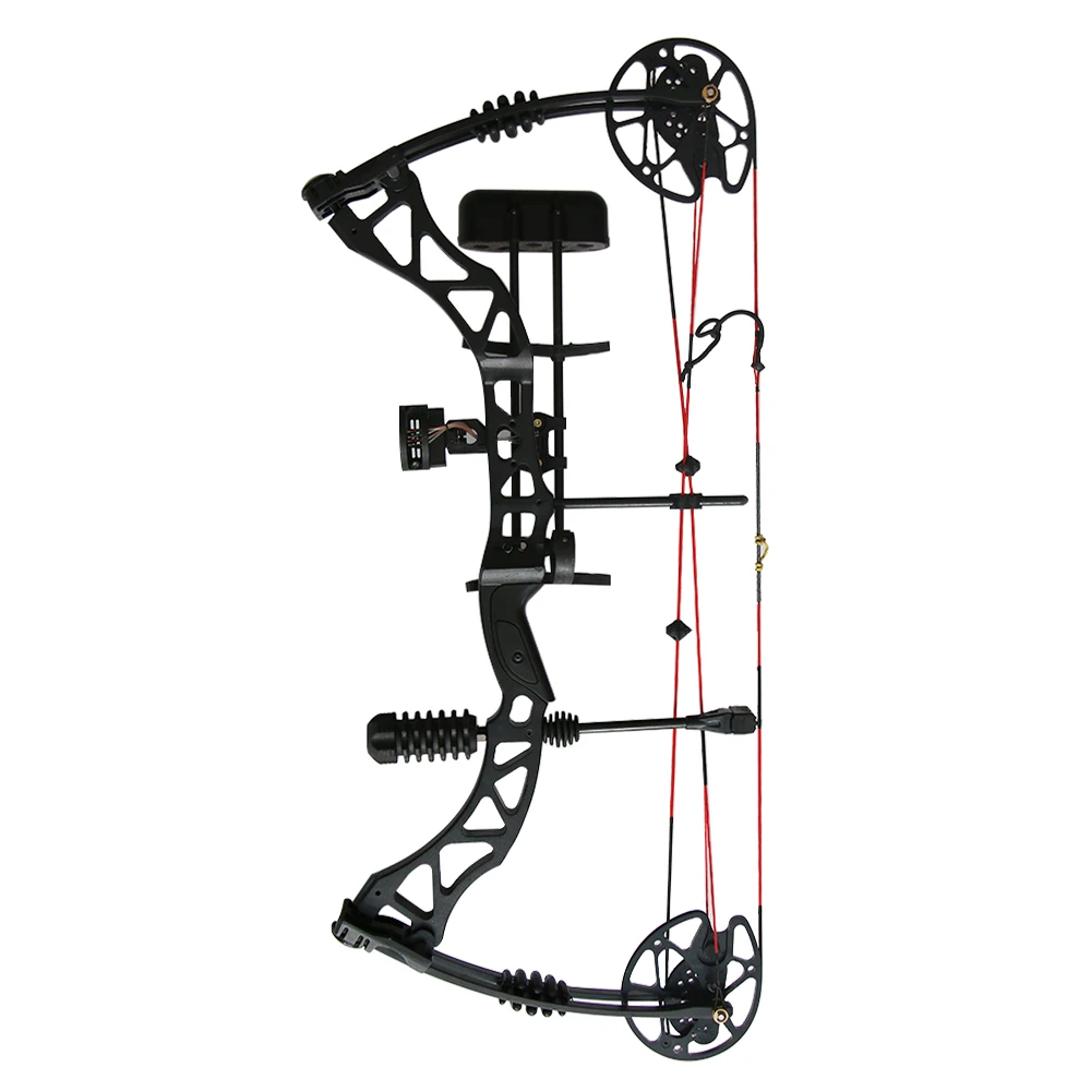 Let-off 80% China Archery Compound Bow For Hunting Ibo Speed 320 Feet/s ...