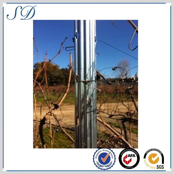 Galvanized Vineyard Post Grape Stake - Buy Vineyard Post,Vineyard Metal ...