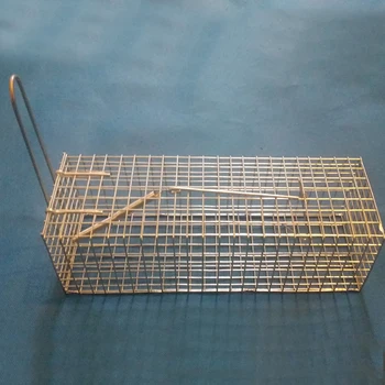 Galvanized Wire Mouse Cage Trap For Trap Mouse Rat Mice - Buy Mouse ...