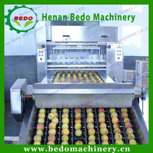 High Praised Fruit Seeds Removing Machine /olive Seed Remove Machine ...