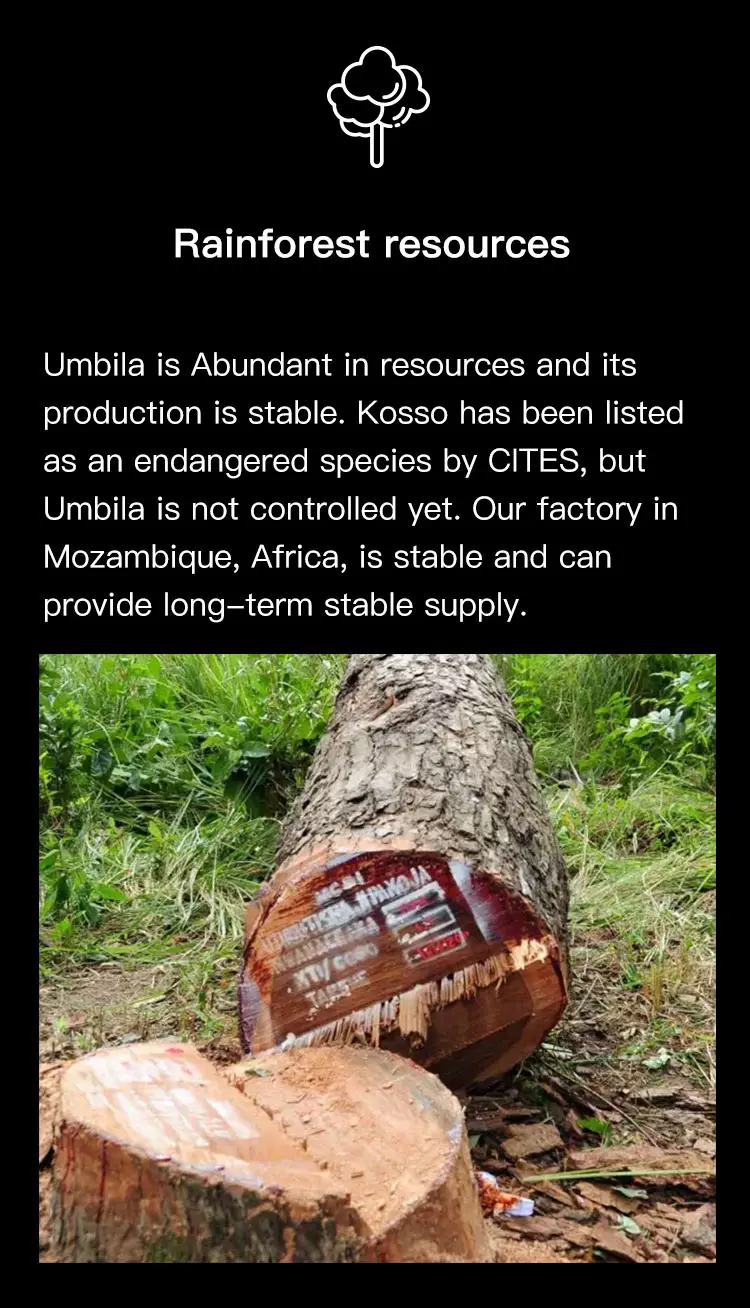 Umbila Wood Flooring - High-Quality Solid Wood Boards