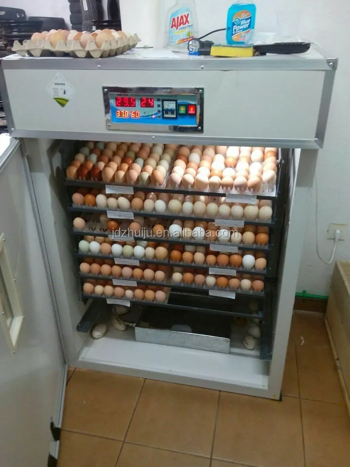 Chick Master Incubator Price For Chicken Duck Egg Hatcher - Buy Chick ...