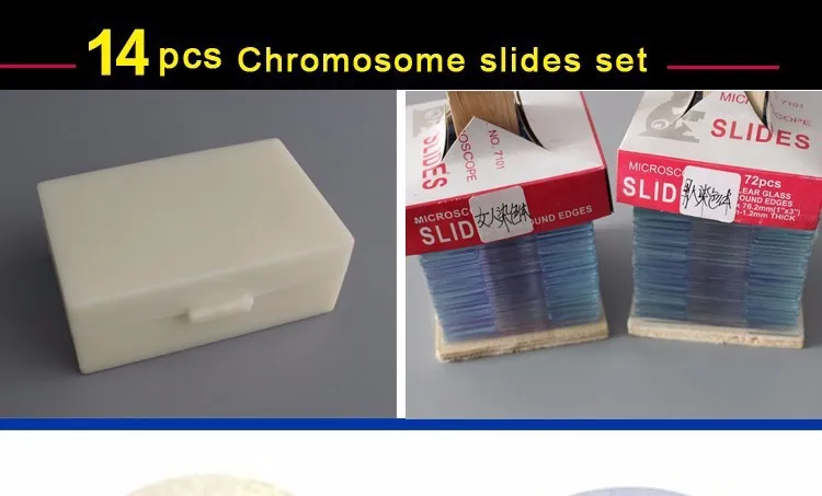 Fixed Set High Quality 14 Pieces Chromosome Microscope Slides