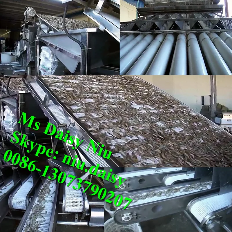 Automatic Shrimp Grader Sorter/prawn Sorting Grading Machine/fresh ...