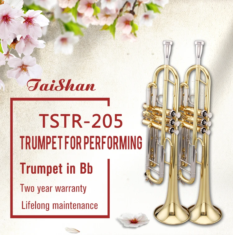 Tone Bb Trumpet by TAISHAN - Brass Body with Gold Lacquer