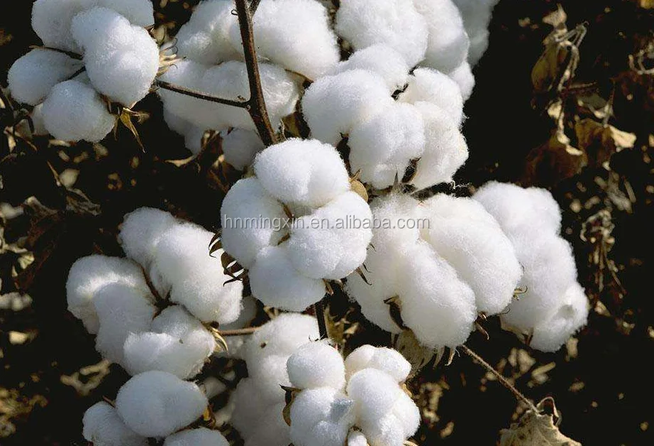 Carton Leaf Abaca Baling Press Machine - Buy Carton Baling Machine ...