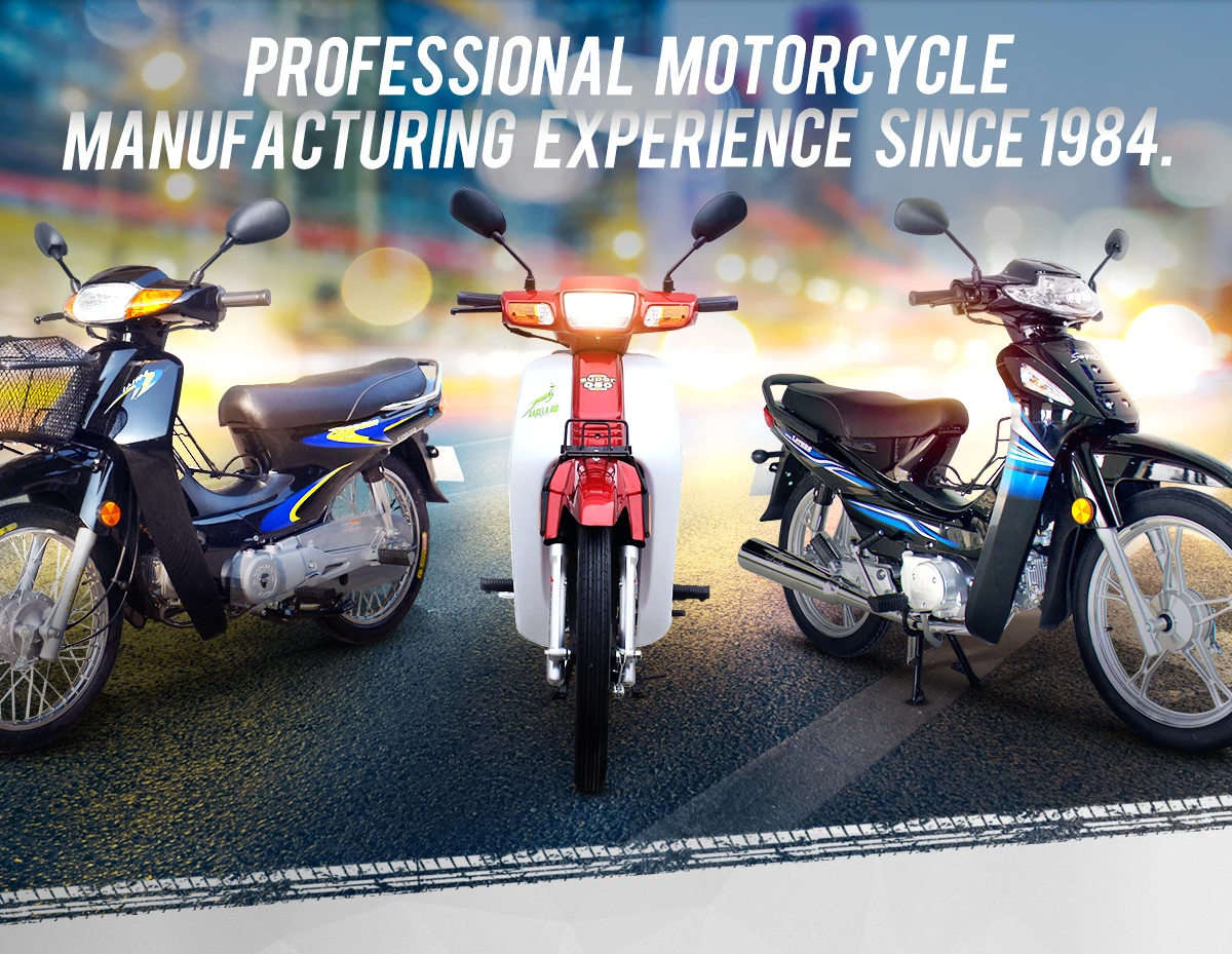Luoyang Northern Enterprises Group Co., Ltd.
