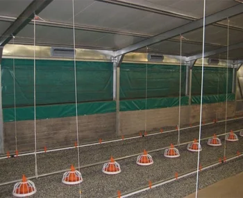 Modern Design Poultry Farm Tools And Automatic Chicken Equipment And ...