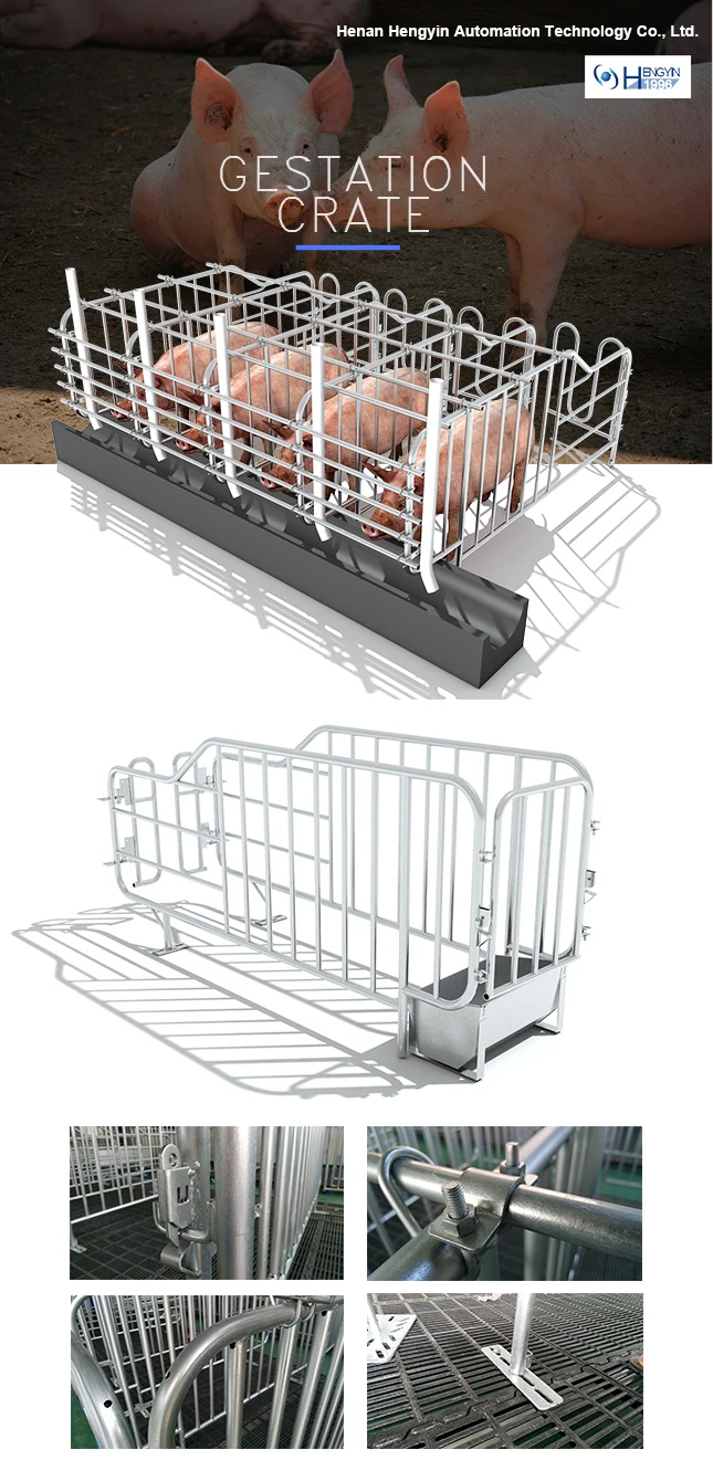 Sow Gestation Stall Pig Farm/galvanized Pig Farm House - Buy Galvanized ...