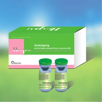 Duck Viral Hepatitis Attenuated Vaccine,Living (strain Ch60) - Buy ...