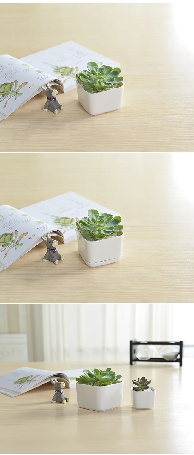 Indoor Rectangular White Mini Ceramic Pots For Succulent Plants Buy