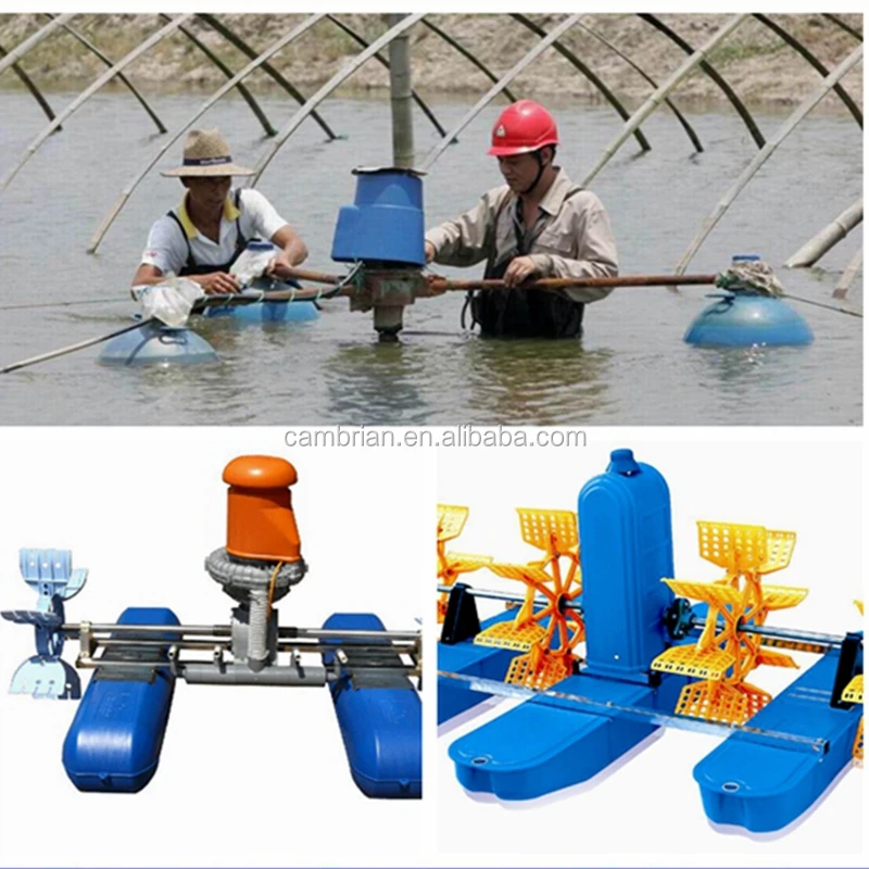 Fish Ponds Shrimp Farming Equipment - Buy Fish Ponds Shrimp Farming ...