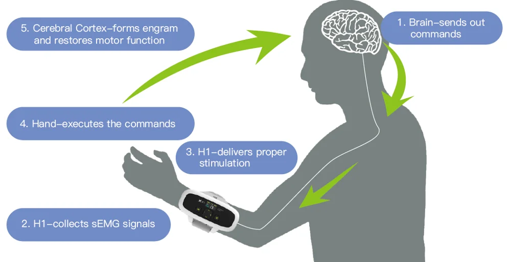 Rehabilitation Center Use Exercise Hand Drop System For Hand Rehab ...
