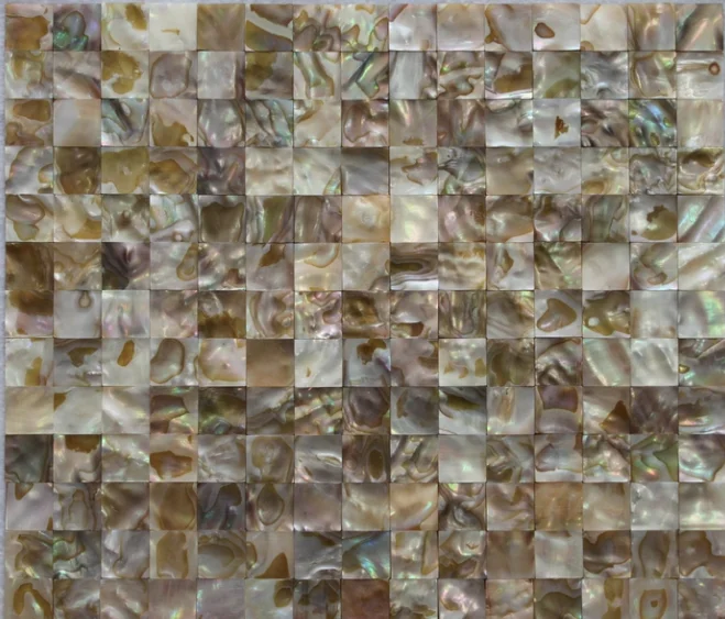 Bathroom Tiles Abalone Paua Shell Mosaic Tile Natural MOP Tilesfor Sale