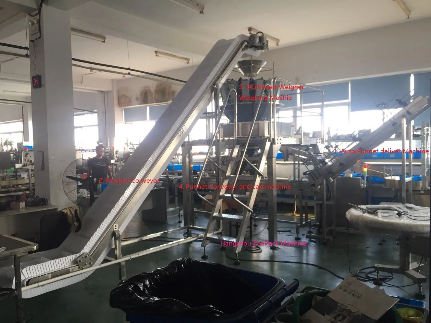 Automatic Cherry Tomato Plastic Tray Punnet Clamshell Multihead Weigher ...