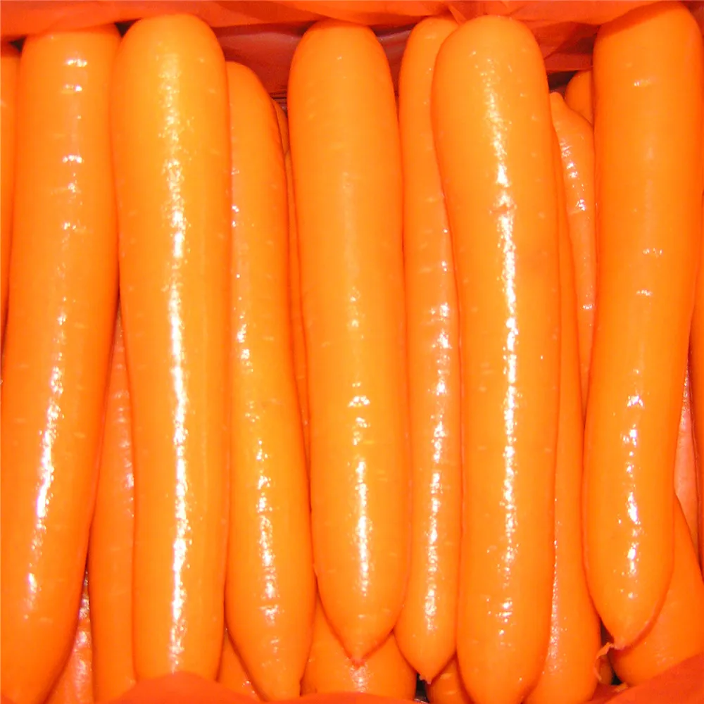 2018 New Crop China Fresh Carrot From China - Buy Fresh Carrots For ...