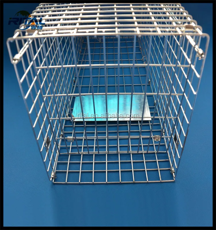 Cheap Traps For Live Raccoon Trap Cage - Buy Raccoon Trap Cage,Coyote ...